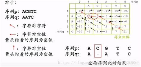 序列比对概念及相应工具的对比 csdn博客