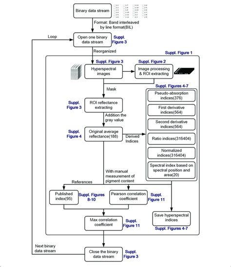 Flow Chart Of Integrated Hyperspectral Image Analysis Pipeline Download Scientific Diagram
