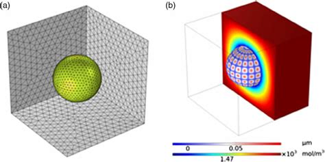 Model Of Corrosion Results Download Scientific Diagram