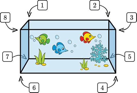 Rectangular Prism Definition Properties Examples And Questions
