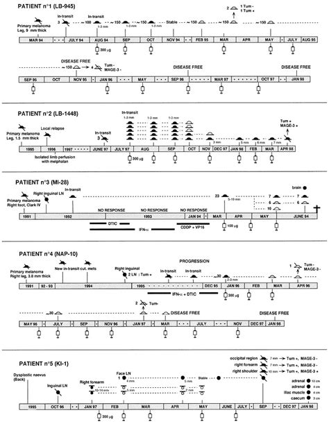 Clinical Evolution Of Patients With Tumor Regression Download Scientific Diagram