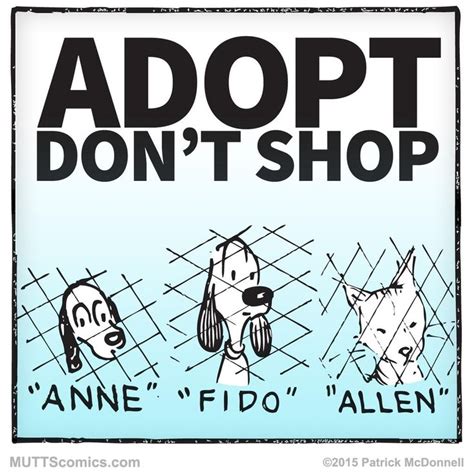 Mutts On X Mutts Comics Animal Lover Quotes Cute Animal Pictures