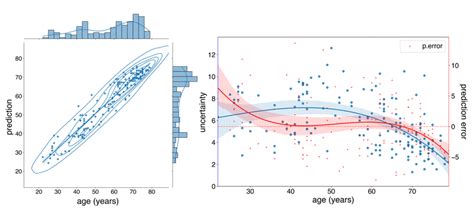 Brain Age Prediction Performance And Model Certainty Of Deep Download Scientific Diagram
