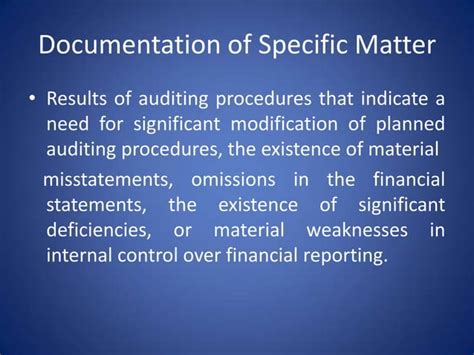 Audit Documentation Presentation PPTX