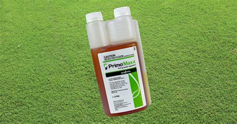 Plant Growth Regulators Pgr The Turf Farm Premium Instant Lawn