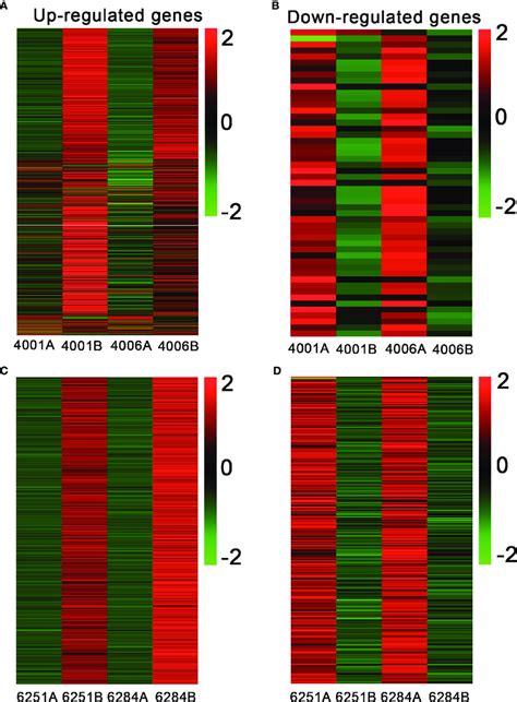 Heatmap Showing The Expression Patterns Of Differentially Expressed
