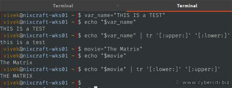 Bash Shell Convert Uppercase To Lowercase In Linux Nixcraft