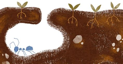 What Happens To A Lonely Ant Artofit