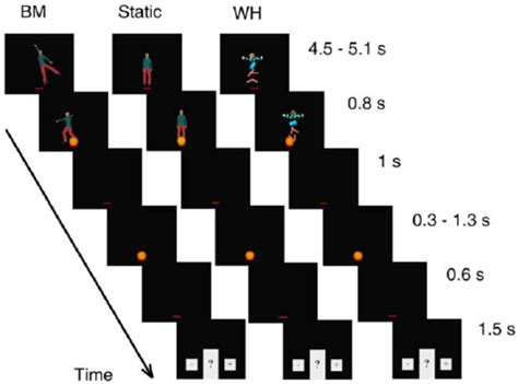 schematic of the binary choice experiments on duration judgements