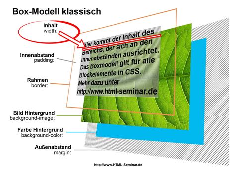 Css Breite Eines Elements über Width Festlegen