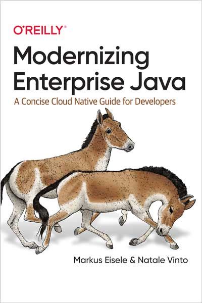 Sky Book اسکای بوک Modernizing Enterprise Java