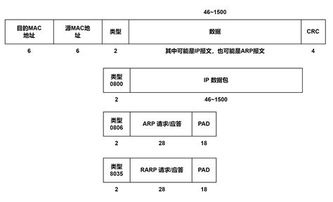 【linux网络】网络层ip和数据链路层网络层如何知道对方的 Csdn博客