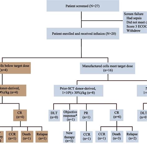 Patient Flow Diagram This Patient Had An Objective Response In
