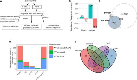 Alternative Splicing Rna Seq