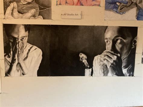 Dazzling AP Art Portfolio Examples Plus Tips And Advice