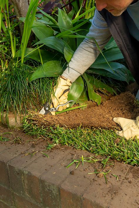 How To Get The Perfect Lawn All Year Around Better Homes And Gardens