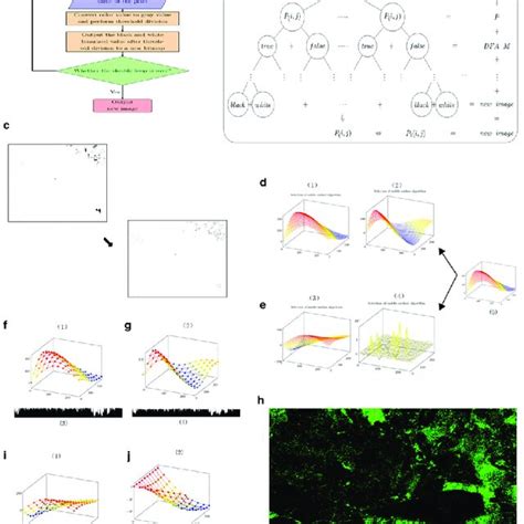 Optimization Of Image Processing Algorithms Download Scientific