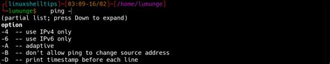 How To Install And Use ZSH Shell In Linux