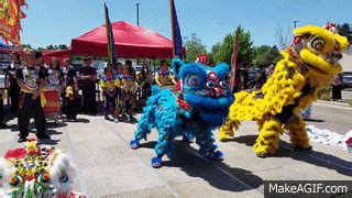 Lion Farraige 