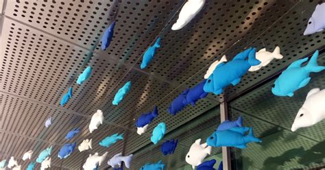 하늘 나는 물고기·워터슬라이드 Acc 여름 프로젝트