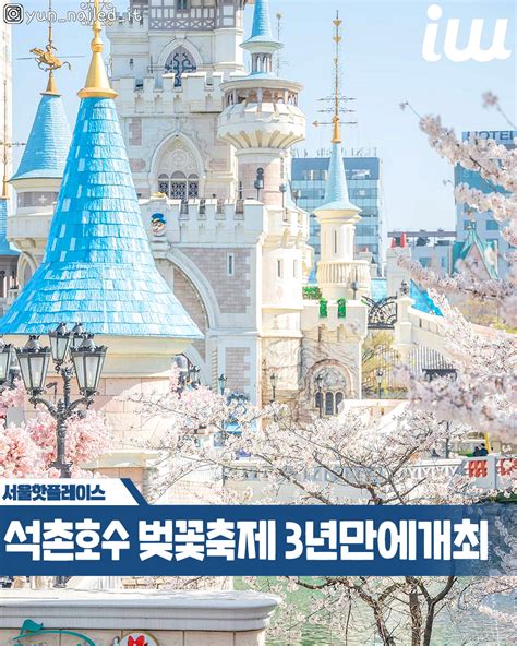 서울은지금 🌸무려 3년만에 다시 개최된다는 석촌호수벚꽃축제 올해 3월 25일부터 4월까지 열린다고