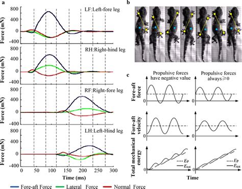 Contribution Of Ground Reaction Forces And The Lateral Undulation Download Scientific Diagram