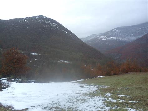 За сите оние кои се од село Подвис