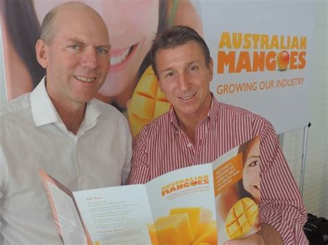 Mango Growth On Track Good Fruit And Vegetables Qld