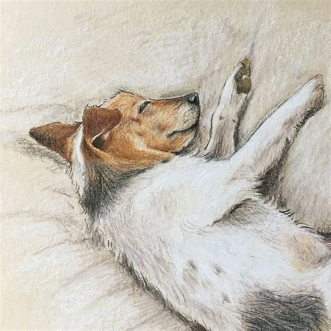 Emily Duffin Country Illustrations 29 Animaux Mignons Frise Art Illustration