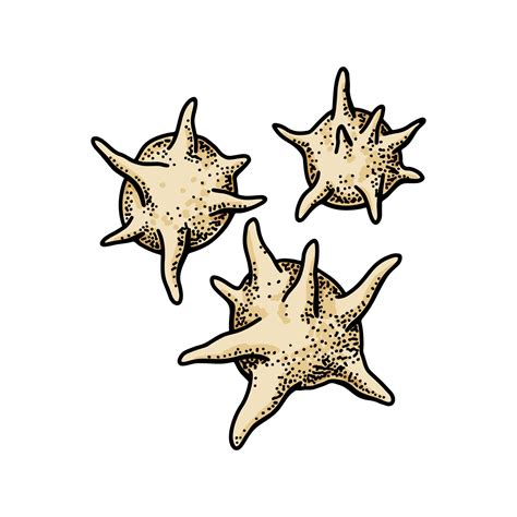 Platelet Blood Cells Isolated On White Background Hand Drawn