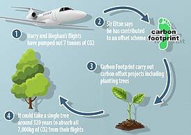 Carbon Offsetting Is A Waste Of Time Scientists Say Tree Planting Schemes Loved By