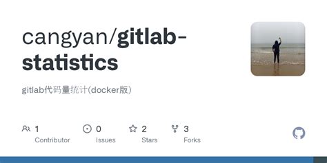 Github Cangyan Gitlab Statistics Gitlab代码量统计 Docker版