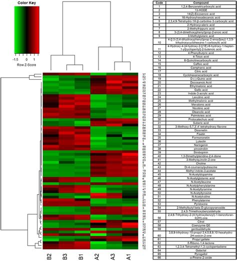 Hierarchical Cluster Analysis Heat Map Reflecting The Differences