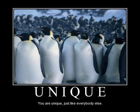 Unique Revisited Us Adult Literacy