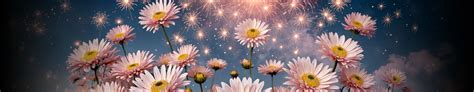 The Art And Science Of The Chrysanthemum Firework Effect — Epic Fireworks