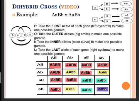 Unit 5 Genetics Heredity Flashcards Quizlet