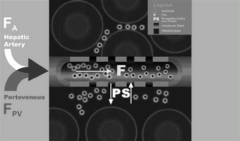 Schematic Diagram Illustrating Derivation Of The Maximum Gradient For