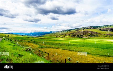 The Wide Open Grasslands And Rolling Hills Of The Nicola Valley Between
