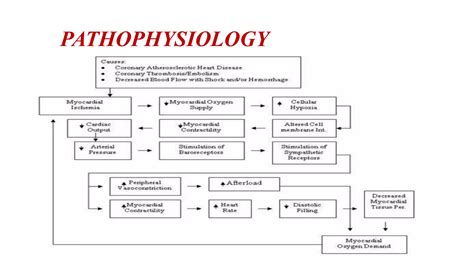 Case Presentation On Myocardial Infarction Pptx