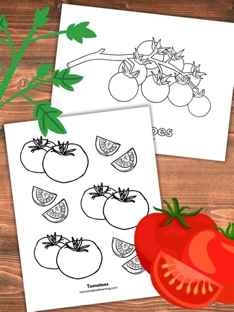 Tomato Coloring Pages