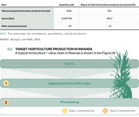 Typical Horticulture Value Chain And Solar Energy Interventions