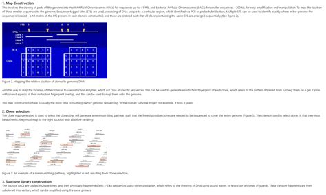 solved chegg ai says that in clone by clone physical