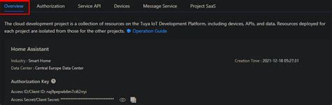 Cloud API Setup Localtuya