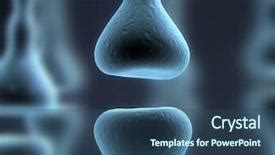 Best Nerve Themed Templates For PowerPoint Google Slides