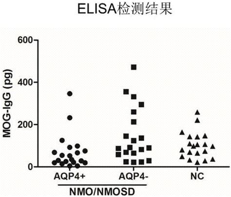 Preparation Of Cell Growing Slide Assembly Of Cba Cytometric Bead Array Kit For Detecting Mog