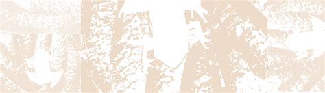 Coqui Eradication Hawaii Our Approach To Coqui Control Kailua Kona