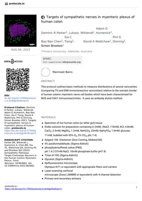 Pdf Targets Of Sympathetic Nerves In Myenteric Plexus Of Human Colon V1
