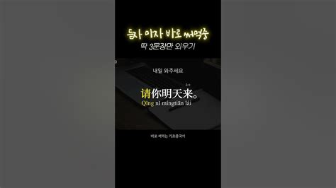 하루에 딱 3문장만 외워봐요🎇 바로 써먹는 기초 중국어 Youtube