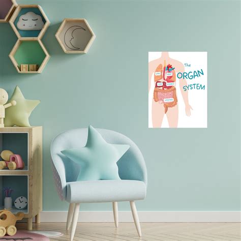 The Organ System Poster Anatomy Poster Classroom Poster Organs Of