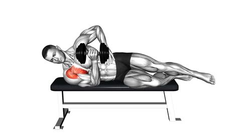 Dumbbell Side Lying External Rotation Bench Exercise Guide And Tips